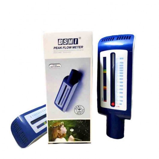 Peak Flow Meter